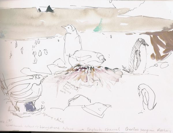 Antarctica - Artist Frances Hatch RWS