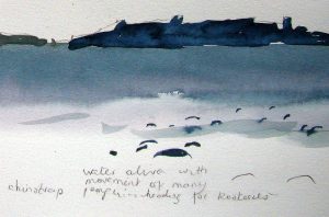 Antarctica - Artist Frances Hatch RWS