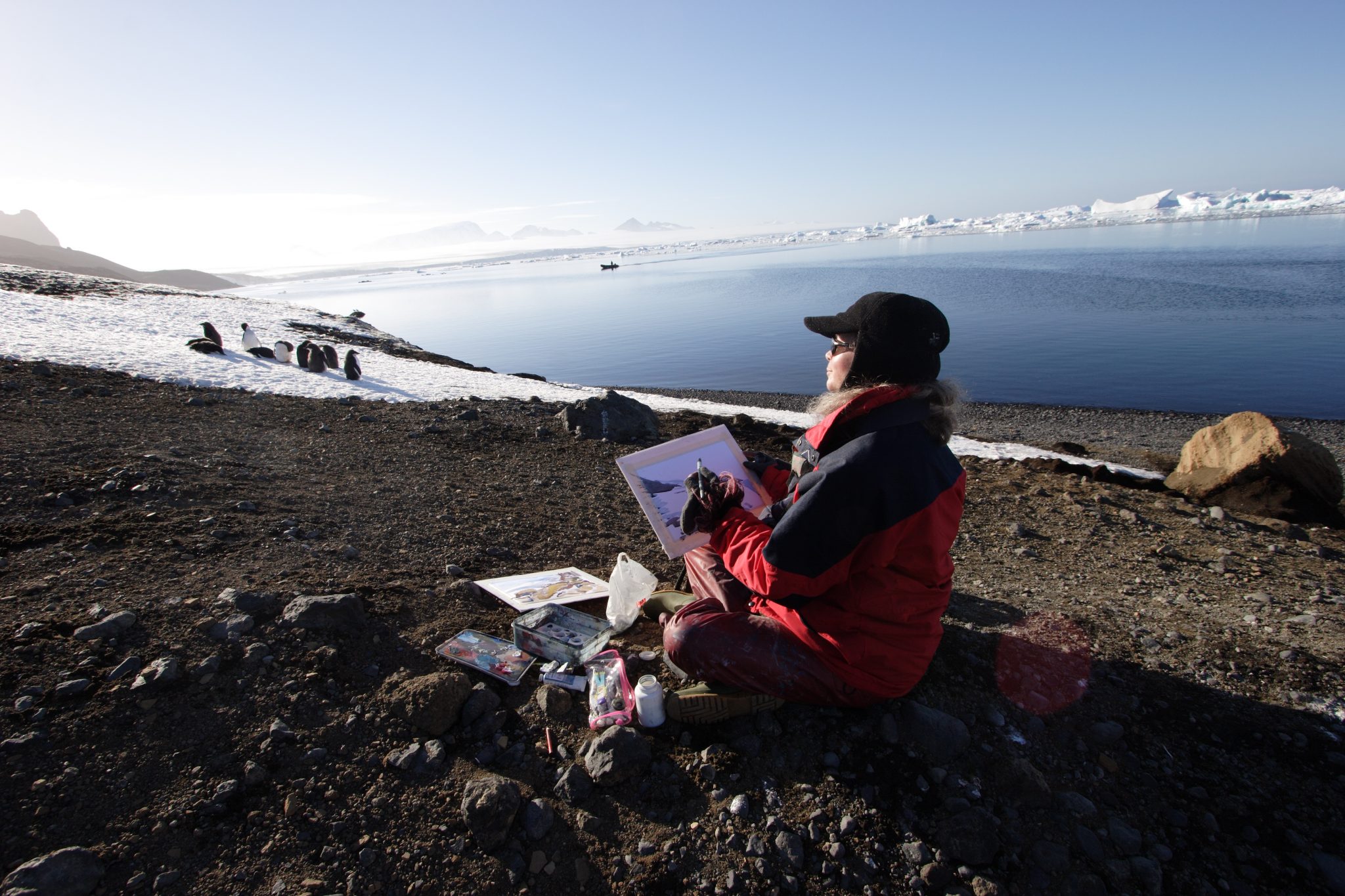 Antarctica - Artist Frances Hatch RWS