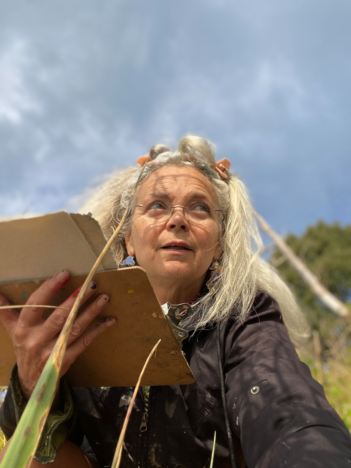 Home - Artist Frances Hatch ARWS